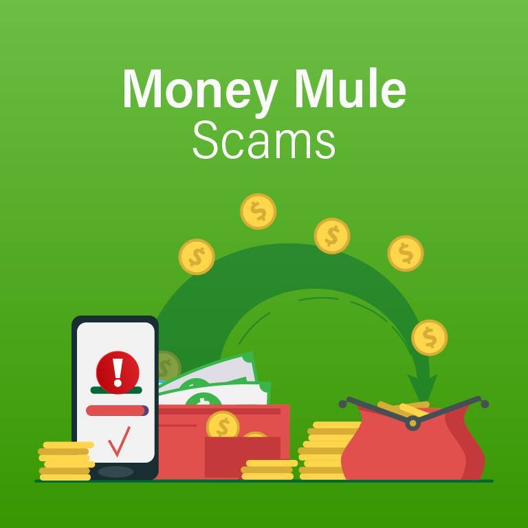 Money Mule Scam Alert Can Impact Credit | Carolinas Telco FCU